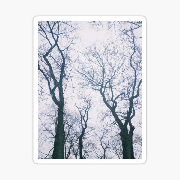"Snowfall in a bare winter forest, natural background " Sticker by ...