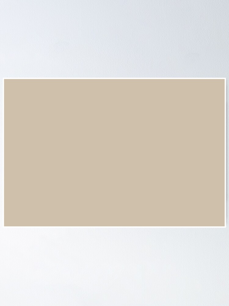 "Beachcomber Neutral Beige Solid Color Single Accent Shade / Hue ...