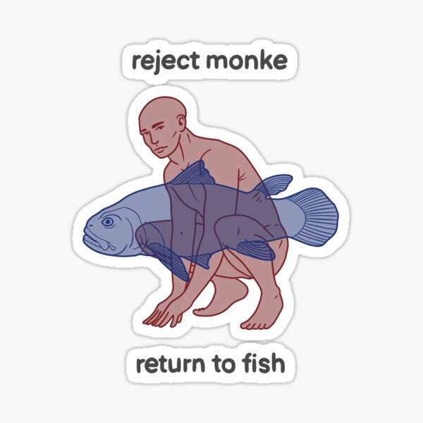 "Reject monke return to fish" Sticker for Sale by flotsamm | Redbubble