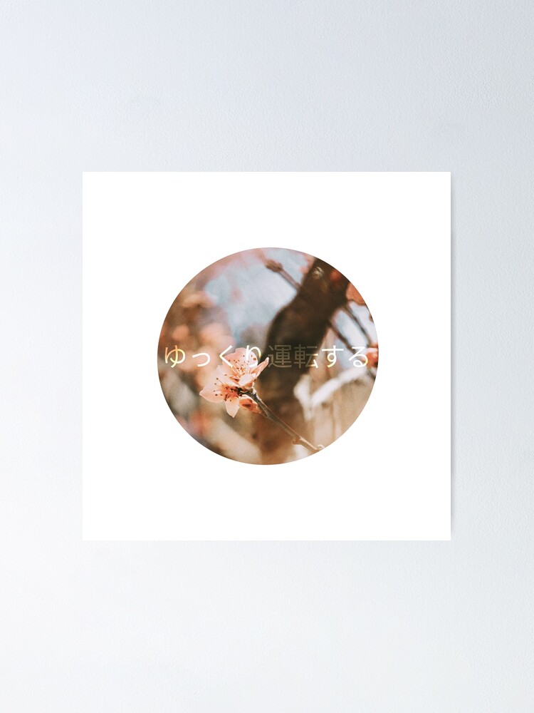 "Drive Slow" Poster for Sale by sicxvii | Redbubble