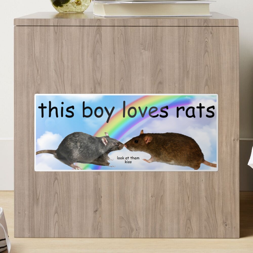 Memes Rat Boy
