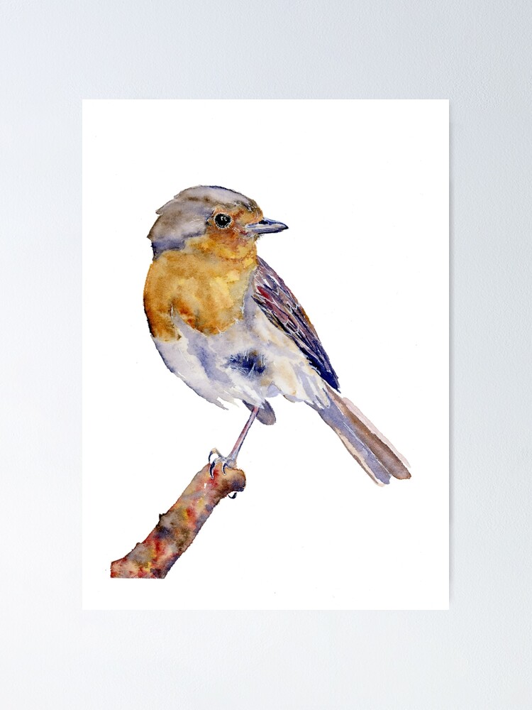 "Spring Robin Watercolor" Poster by carleeclarkeart | Redbubble