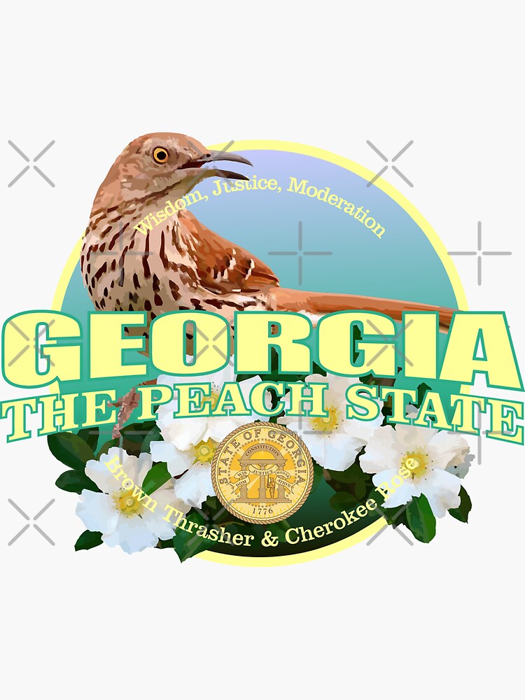 "Georgia (state bird & flower)" Sticker for Sale by curranmorgan ...