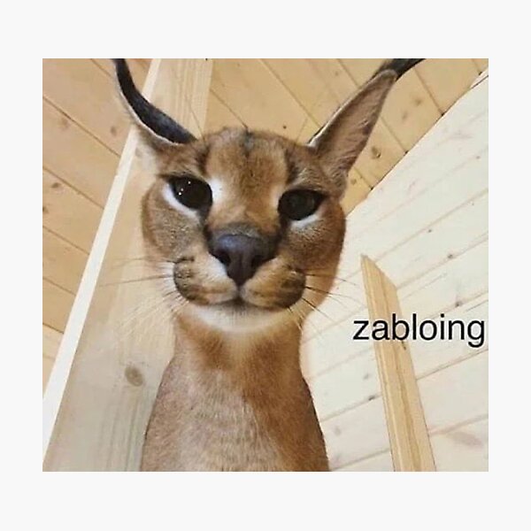 "Zabloing Floppa" Photographic Print by only1bigboy | Redbubble