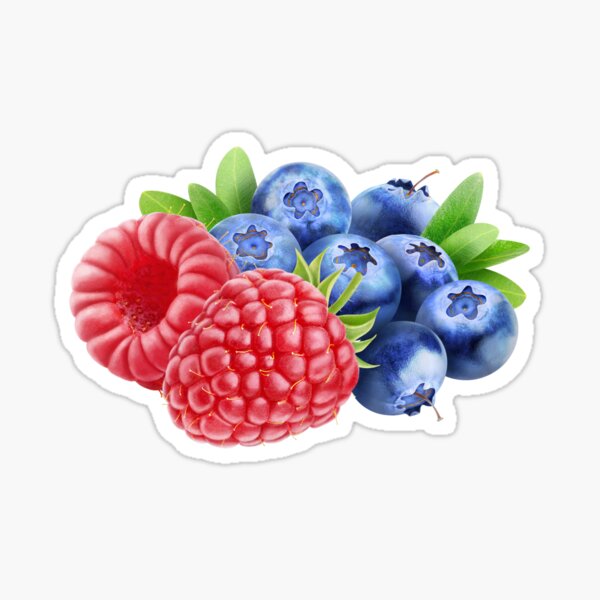 "Raspberry and blueberry" Sticker for Sale by 6hands | Redbubble