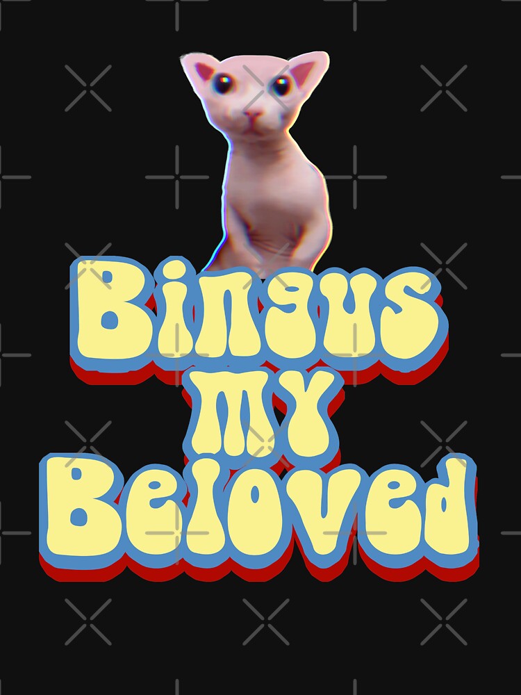 "Bingus Cat Meme Retro" Pullover Hoodie for Sale by cannevas | Redbubble