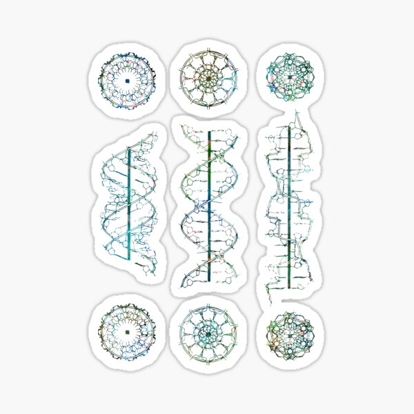 "DNA Helix Conformation" Sticker for Sale by EvasDreams | Redbubble