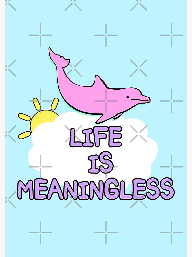 Captain Dolphin Memes