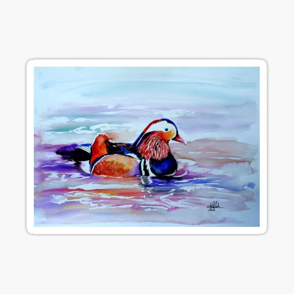 "Mandarin Duck" Sticker by IsabelSalvador | Redbubble
