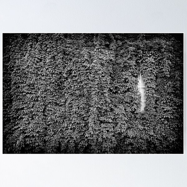 "Vegina" Poster for Sale by Matti Ollikainen | Redbubble