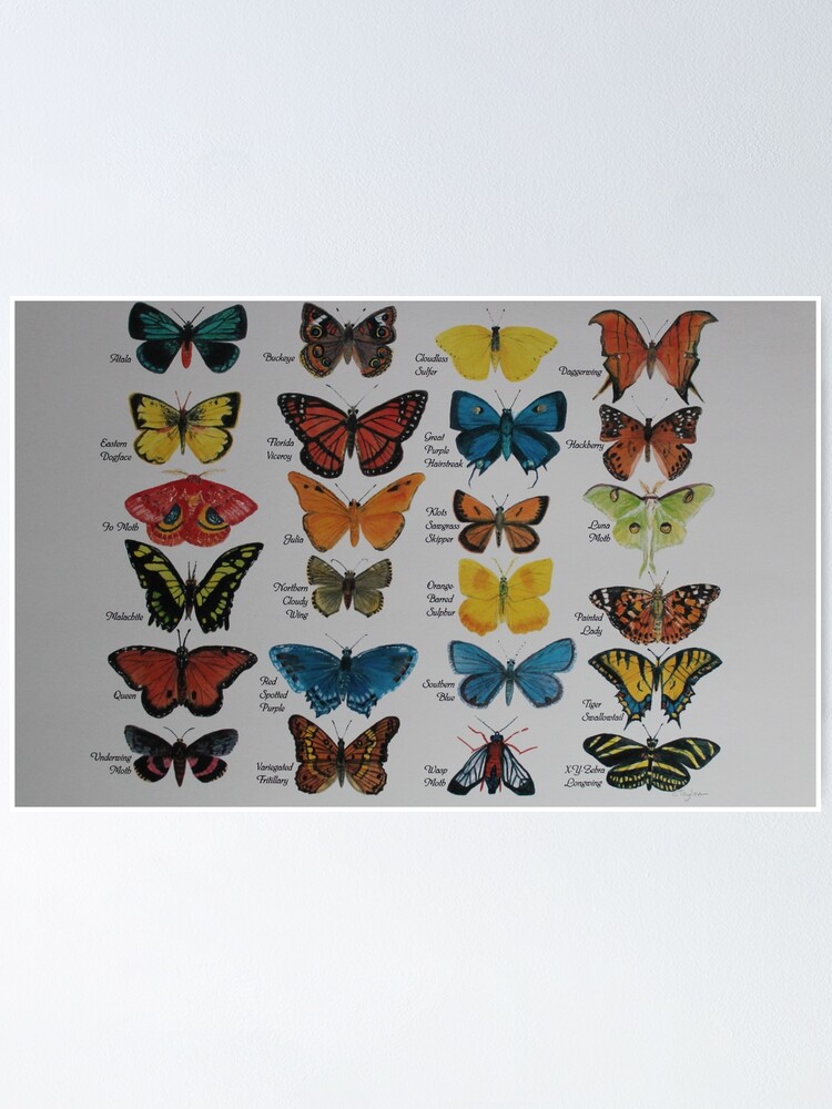 "Butterfly alphabet watercolor" Poster by ctaylorart | Redbubble