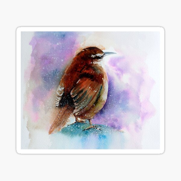 ""Winter Wren"" Sticker by IsabelSalvador | Redbubble