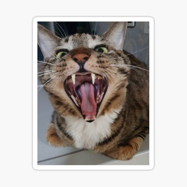"Yawning Cat" Sticker for Sale by VanillaNeptune | Redbubble