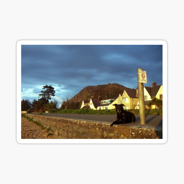 Shela Gifts & Merchandise for Sale | Redbubble