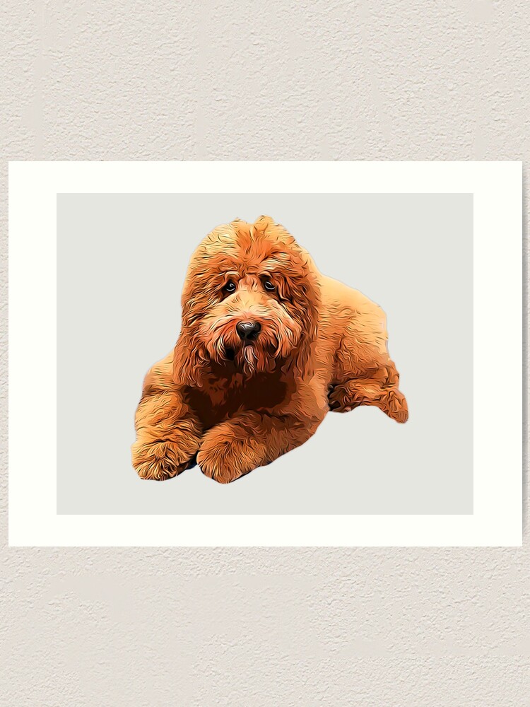 "Cockapoo Cavapoo Doodle Cavoodle Goldendoodle Labradoodle Puppy Dog" Art Print by ElegantCat ...