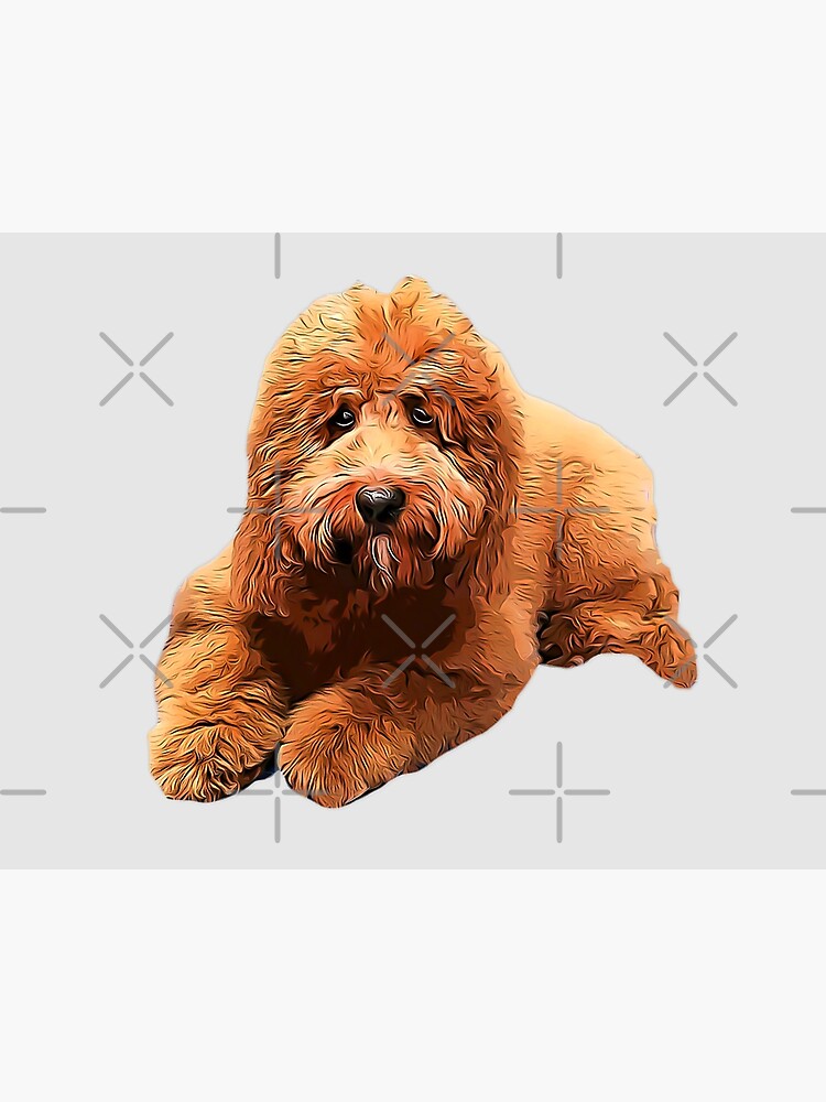 "Cockapoo Cavapoo Doodle Cavoodle Goldendoodle Labradoodle Puppy Dog ...