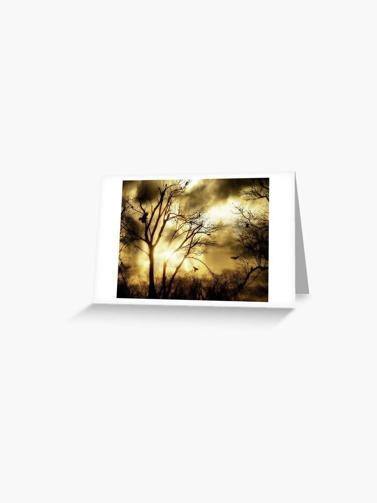 "Brilliant Crow Sunet" Greeting Card for Sale by gothicolors | Redbubble