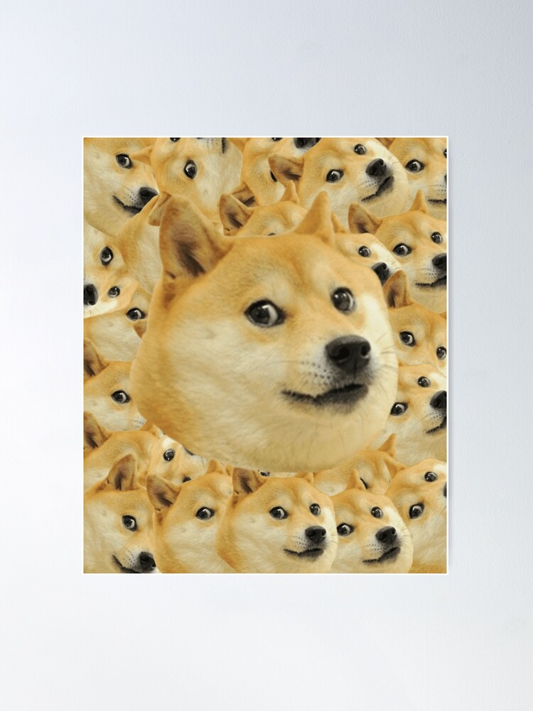 Name Doge Meme Pattern The 'Doge' Dog Meme That Elon Musk Loves,