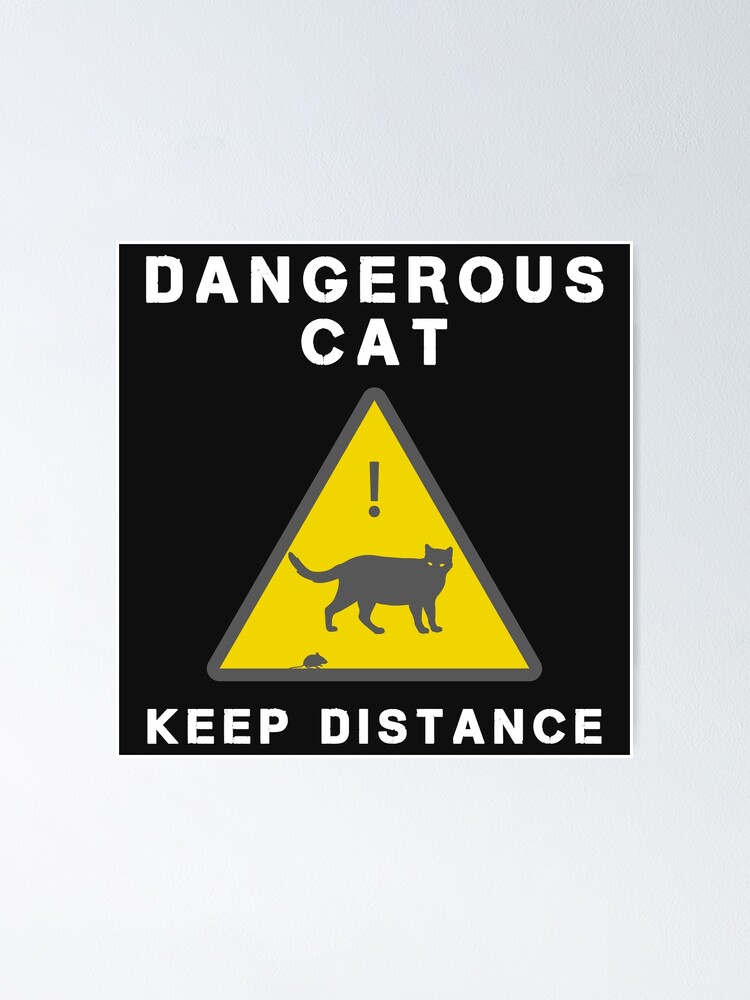 "Dangerous Cat Warning sign keep distance" Poster by Blackvz | Redbubble
