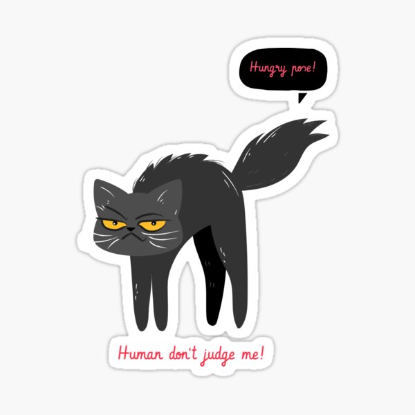 "Hungry Pose Human Don't Judge Me!" Sticker for Sale by WowAllinOne ...