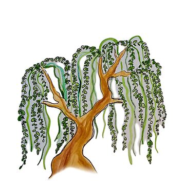 "willow tree" Sticker for Sale by Maura Duval | Redbubble