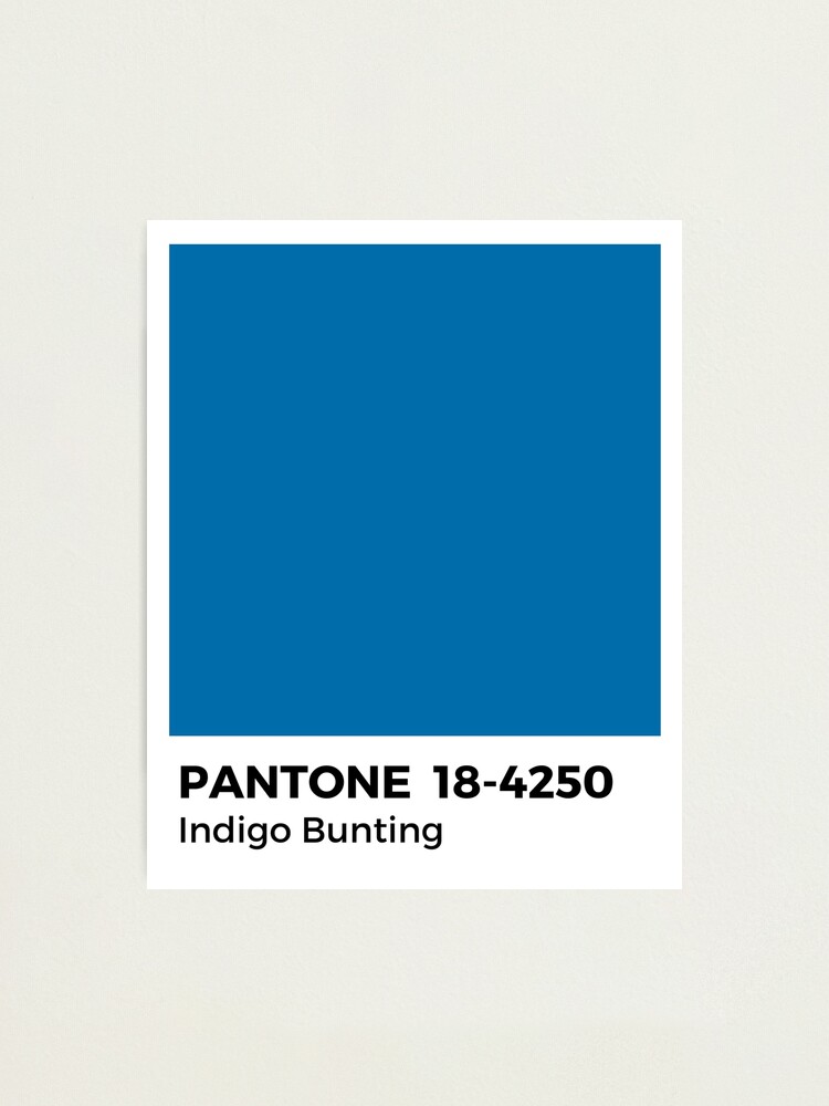Lámina fotográfica «PANTONE - Banderines índigo» de fabibar | Redbubble