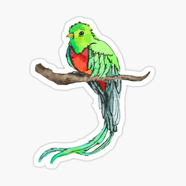 "Watercolor Quetzal" Sticker for Sale by virillanissa | Redbubble