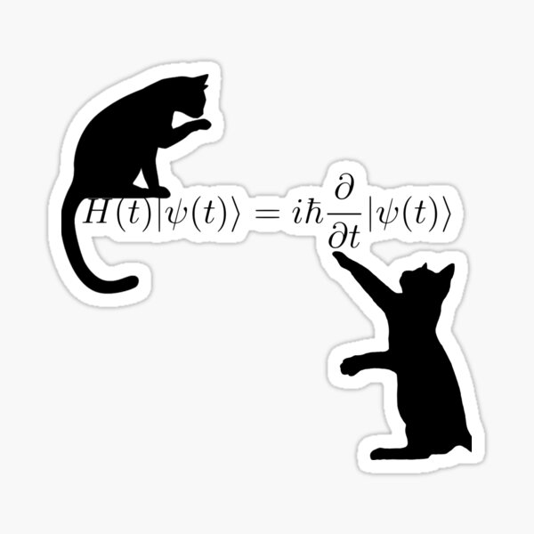"Schrodinger’s Cat equation" Sticker by MangaHorse | Redbubble