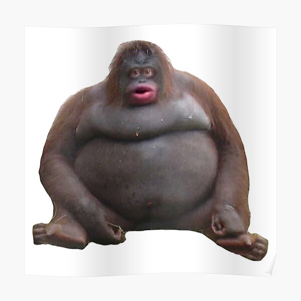 "Uh Oh Stinky Monke" Poster by Ns2- | Redbubble