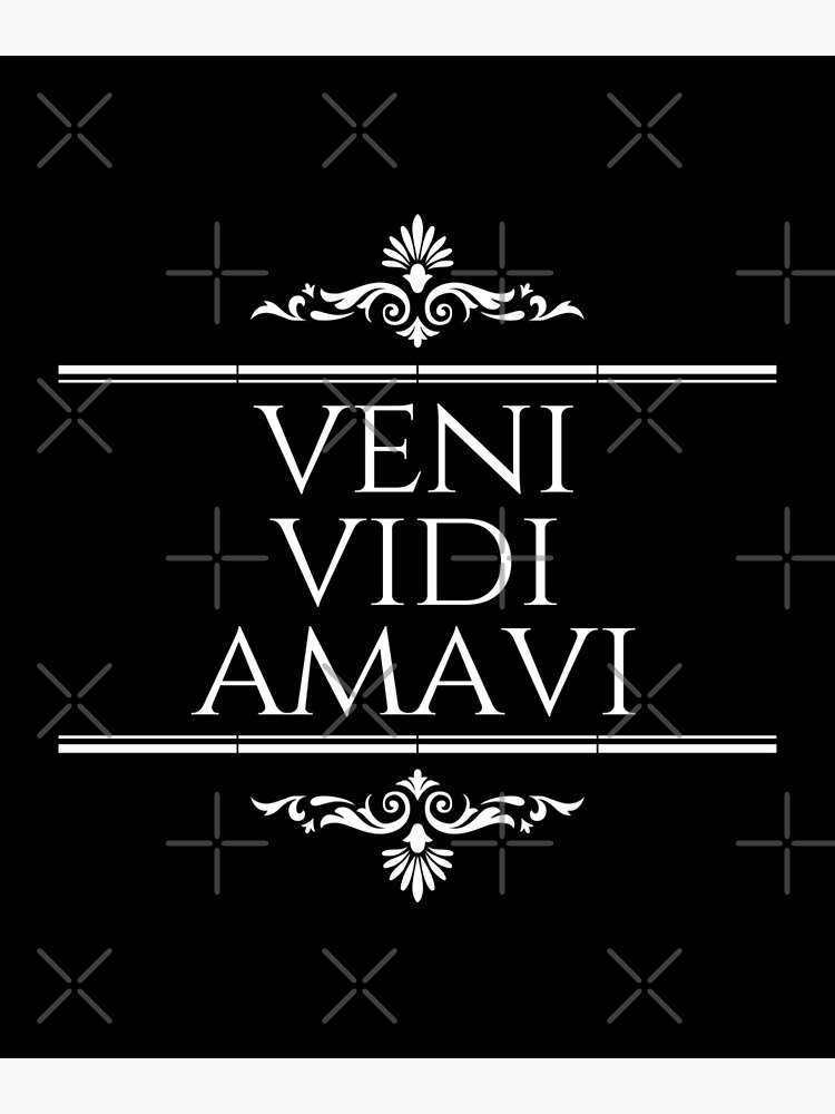 Veni Vidi Amavi I Came I Saw I Loved Stacked White - Latin Phrases ...