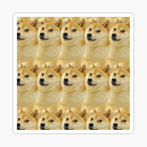"Doge" Sticker for Sale by NayazStore | Redbubble