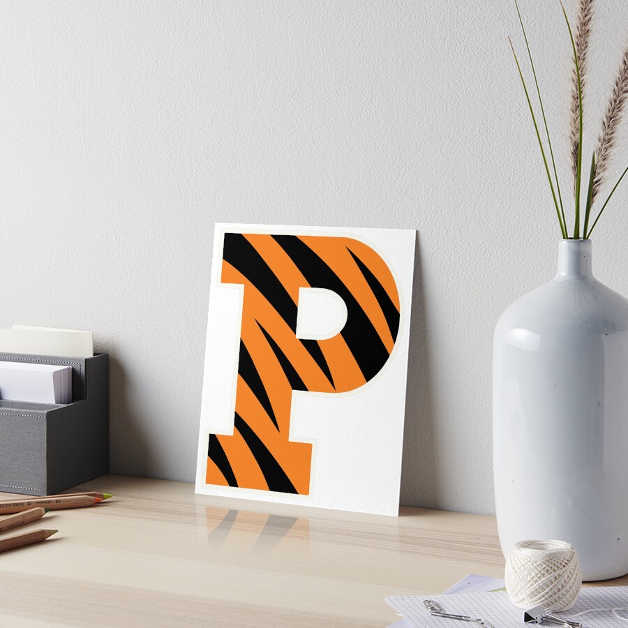 "Princeton Logo" Art Board Print for Sale by Nors301 | Redbubble