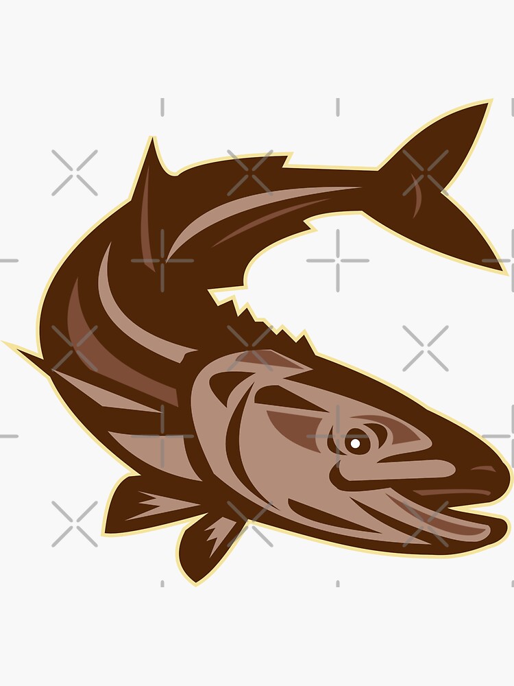 "Cobia Fish Diving Down Retro" Sticker by patrimonio | Redbubble