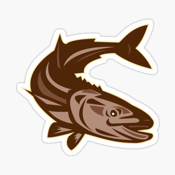 "Cobia Fish Diving Down Retro" Sticker by patrimonio | Redbubble