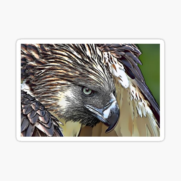 "Philippine eagle-03" Sticker by Manar-hamad | Redbubble
