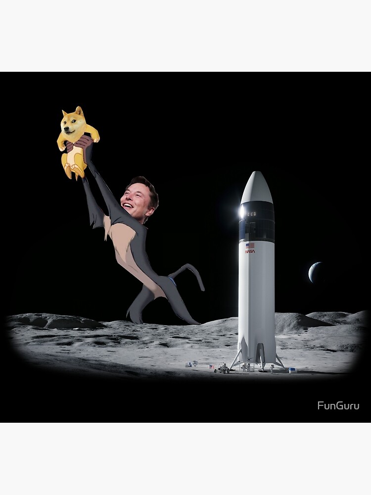 "Everything to the Moon! Elon Musk Meme" Art Print by FunGuru | Redbubble