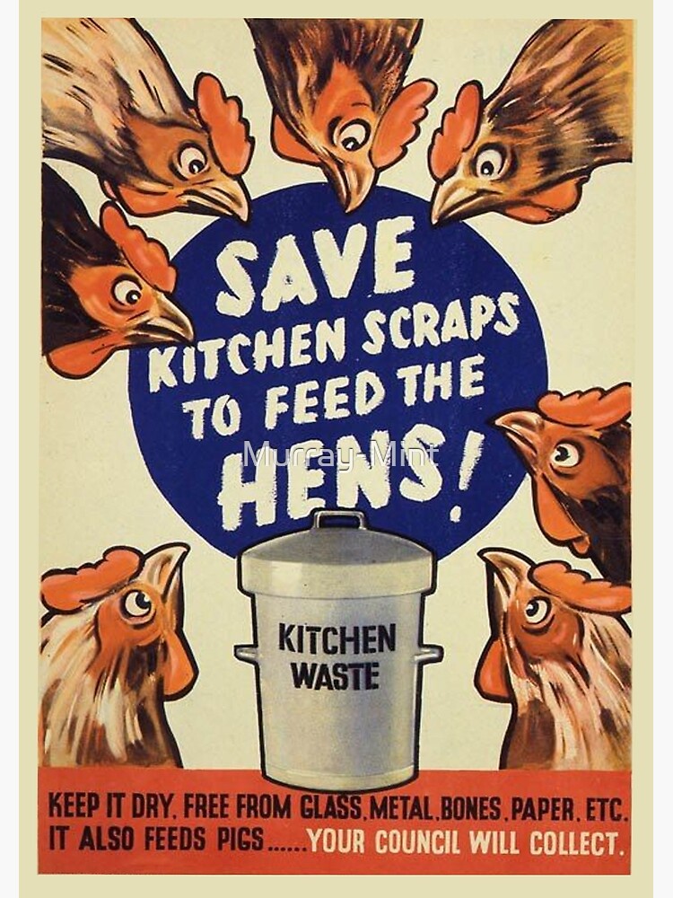 "Save Kitchen Scraps to feed the hens!" Poster for Sale by Murray-Mint ...