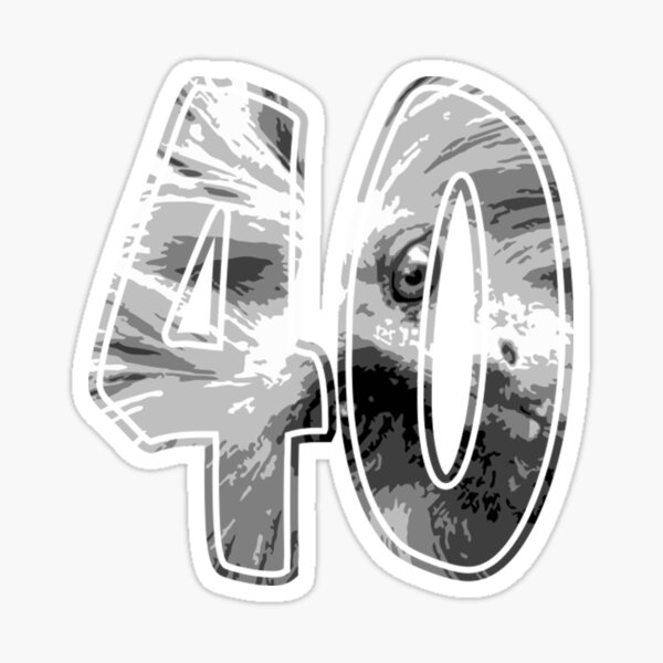 "Number 40 Number forty, 40 art, 40" Sticker for Sale by EmilyKajal ...