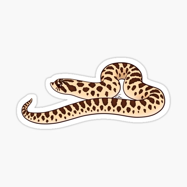 "Western Hognose, Normal / Wildtype" Sticker for Sale by anacecilia ...