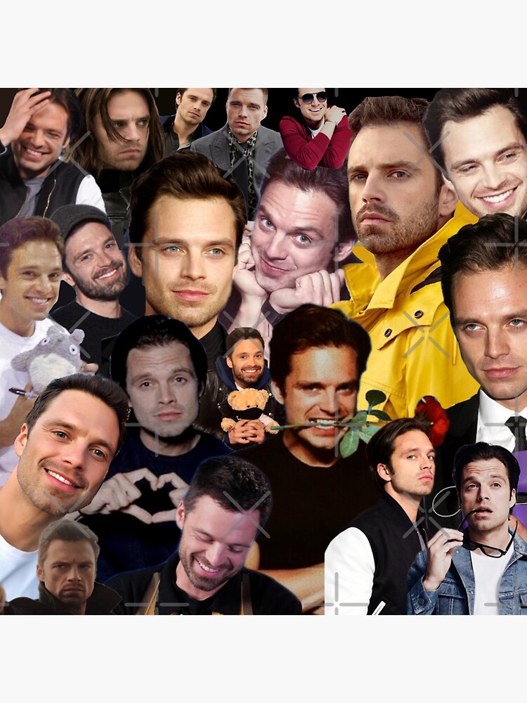 "sebastian stan photo collage" Sticker by samar-n | Redbubble