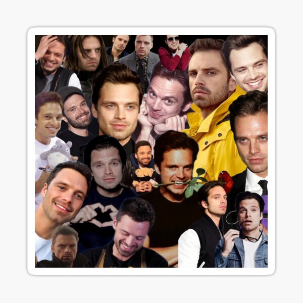"sebastian stan photo collage" Sticker for Sale by samar-n | Redbubble