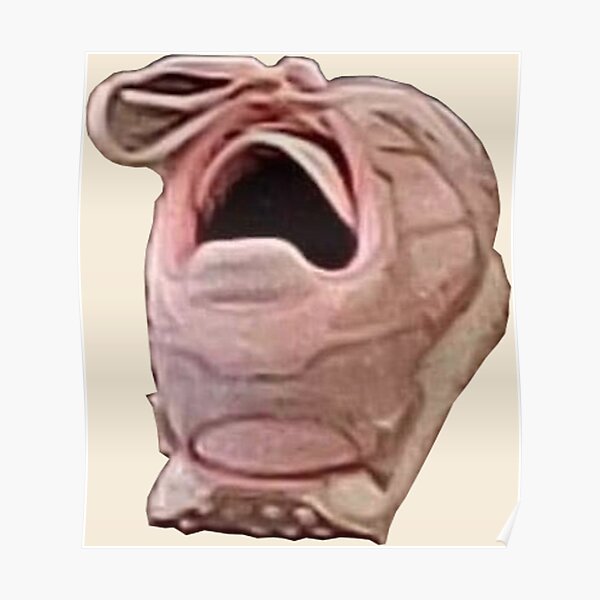 Póster «meme zapato riendo» de SRanabhat | Redbubble