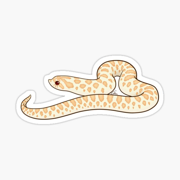 "Albino Western Hognose" Sticker by anacecilia | Redbubble