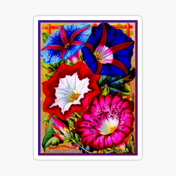 ""GIANT JAPANESE MOONFLOWER" Vintage 1892 Advertising Print" Sticker by ...