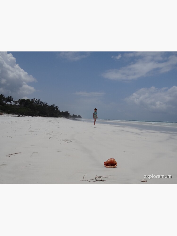 "Finding the perfect shell" Sticker for Sale by exploramum | Redbubble