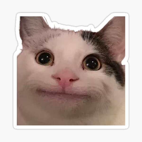 "Meme Lingo (First Edition)" Sticker for Sale by TheShahinDesign ...