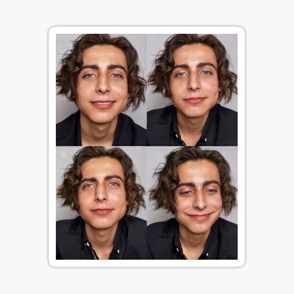 "Aidan Gallagher" Sticker for Sale by LiaRic | Redbubble