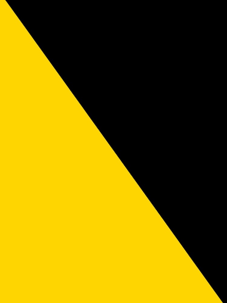 "AnCap Flag" Sleeveless Top for Sale by RipeBananas | Redbubble