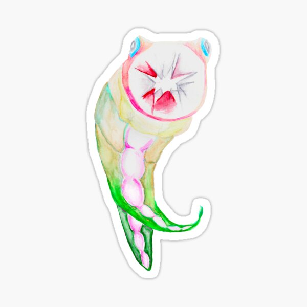 "Watercolor Shipworm" Sticker by MayaSchmidtArt | Redbubble