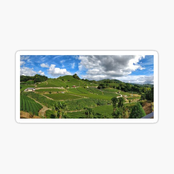 "Uji Tea Terraces of Wazuka, Japan (Panorama)" Sticker for Sale by ...